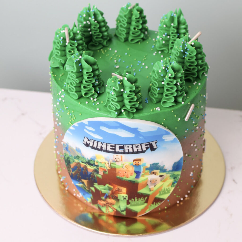Minecraft Cake - Quigleys